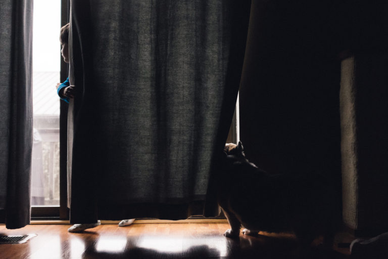 6 Tips for Shooting a Personal Day in the Life – Documentary Family ...